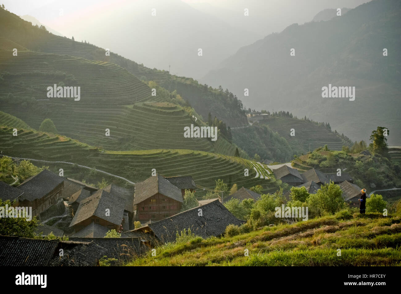 Ancient chinese rice harvest hi-res stock photography and images - Alamy