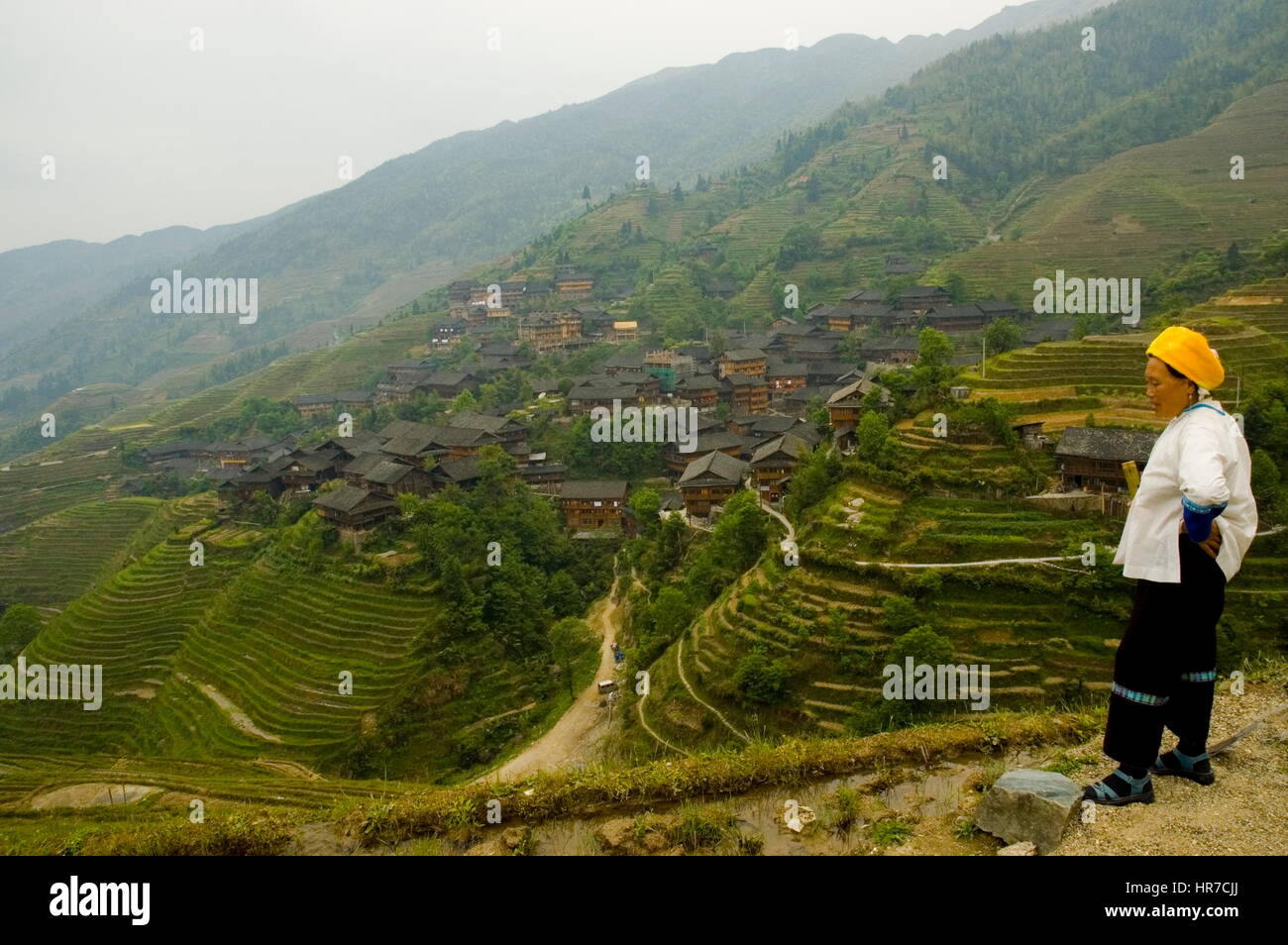 Ancient chinese rice harvest hi-res stock photography and images - Alamy