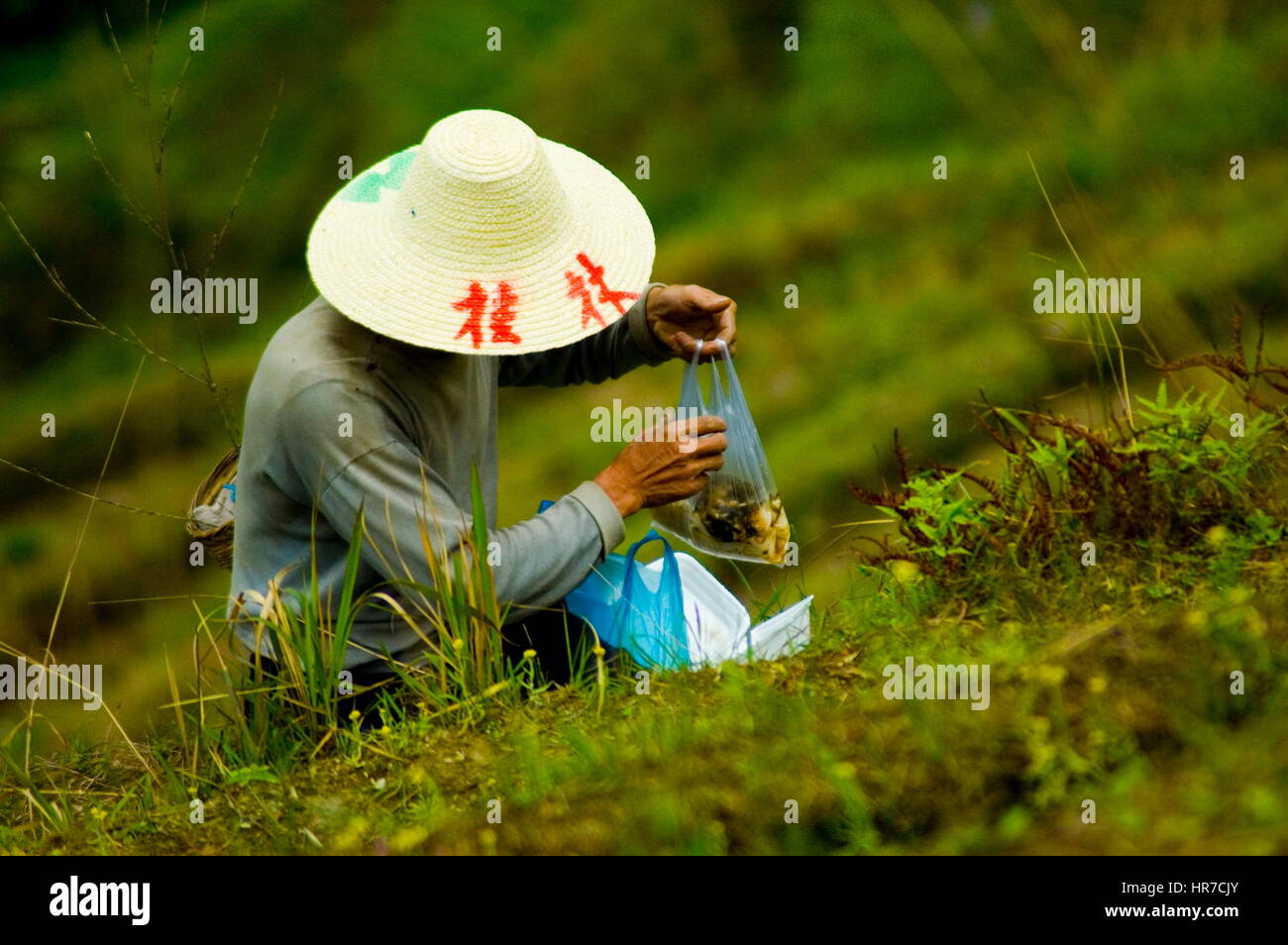 Ancient chinese rice harvest hi-res stock photography and images - Alamy