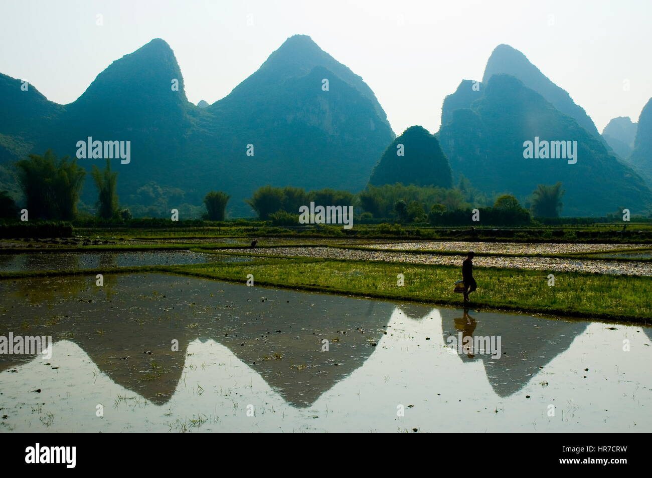 Ancient chinese rice harvest hi-res stock photography and images - Alamy