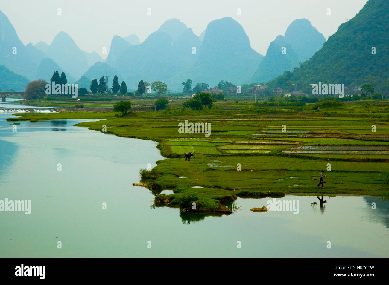 Ancient chinese rice harvest hi-res stock photography and images - Alamy
