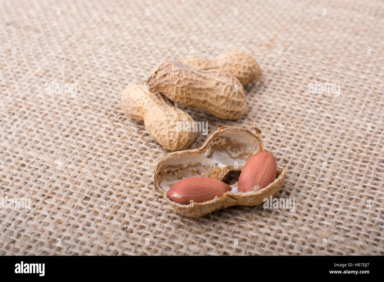 Cracked open peanuts with shell on a linen canvas background Stock ...