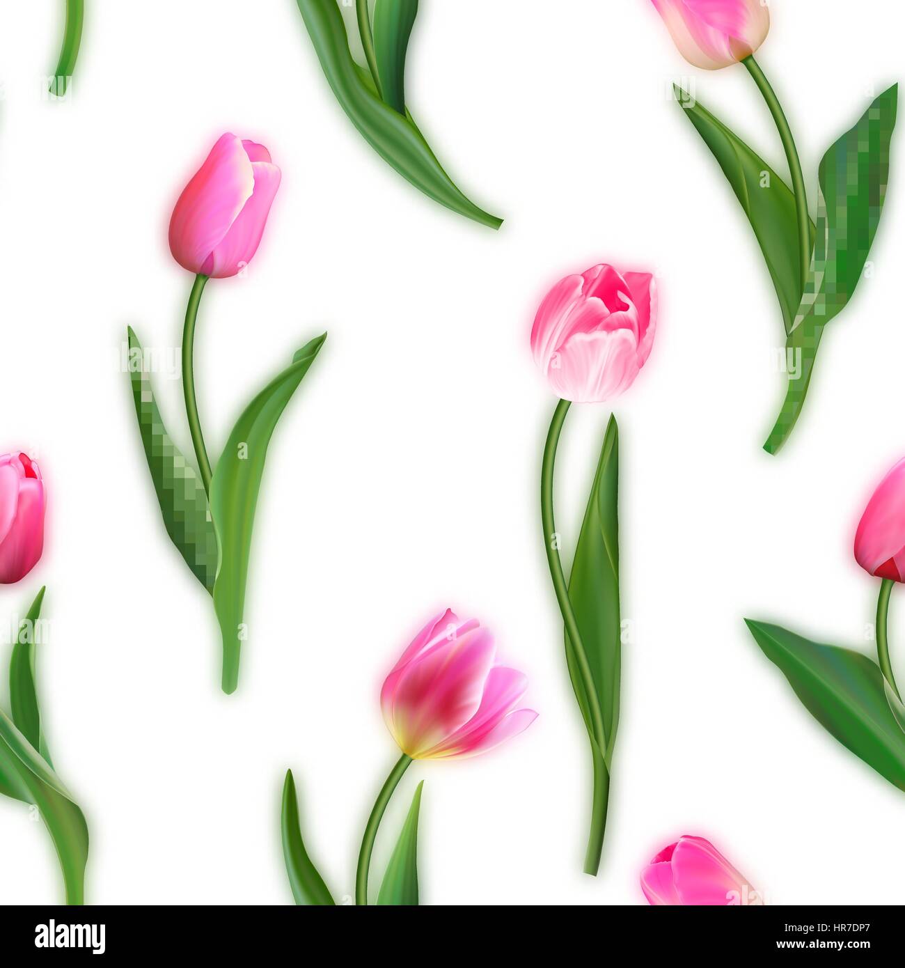 Realistic tulips vector seamless pattern, Repeating surface pattern ...