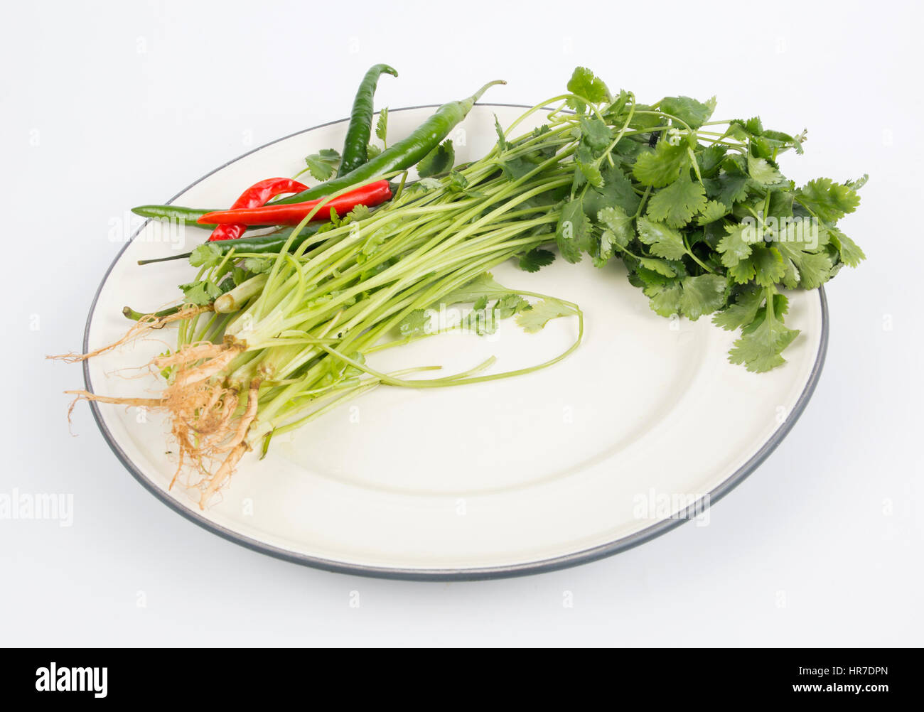 Ingredients Coriander, pepper, tomato and chili on the plate Stock ...