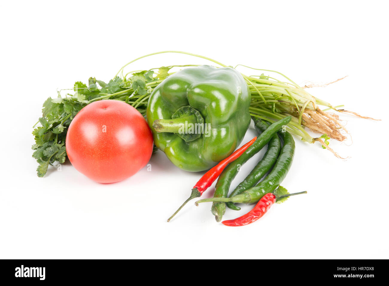 Ingredients Coriander, pepper, tomato and chili on the white background ...