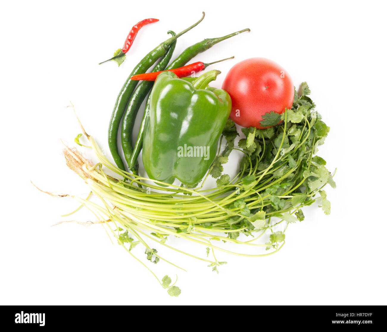 Ingredients Coriander, pepper, tomato and chili on the white background ...