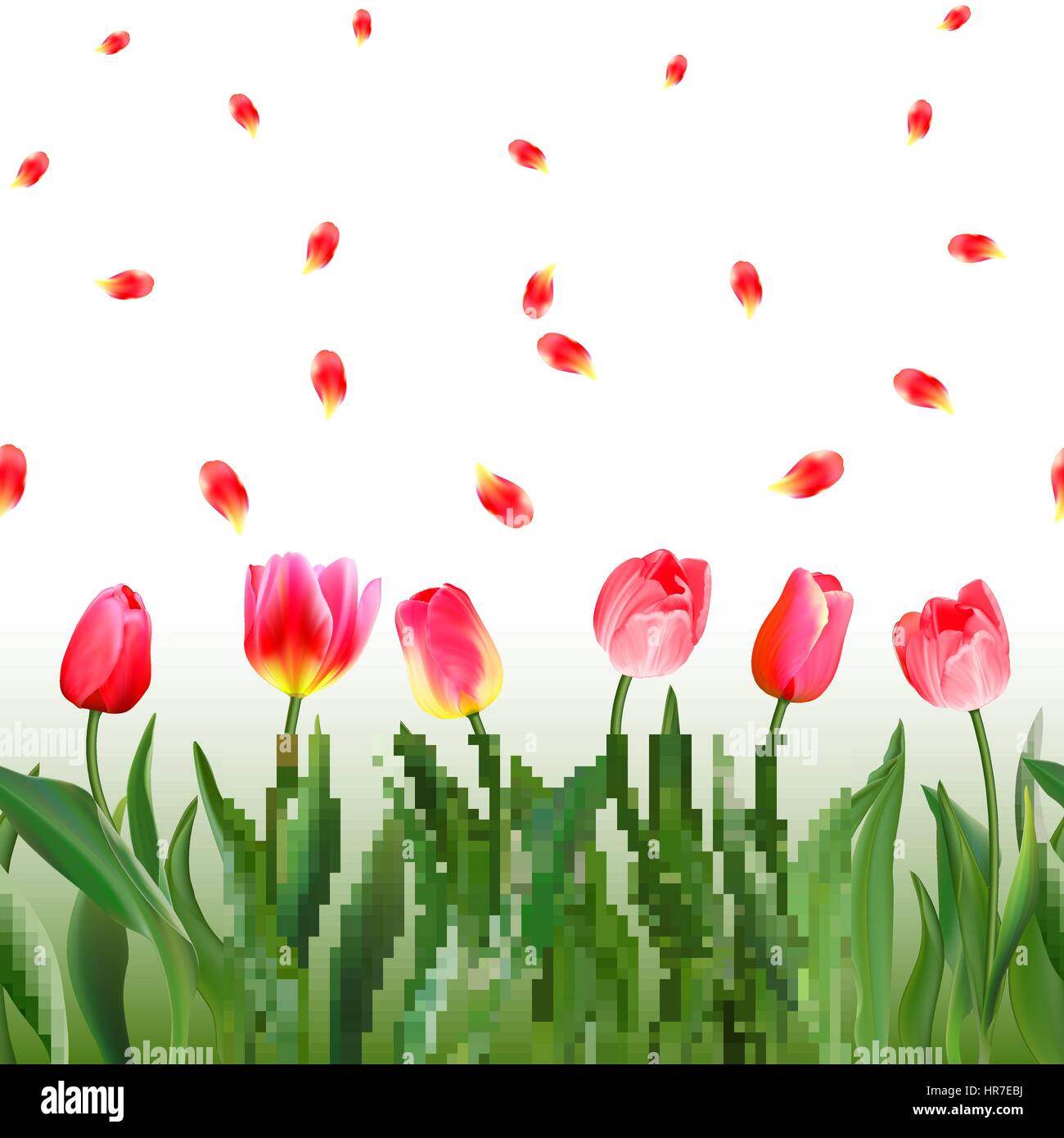 Seamless pattern with realistic pink tulips flowers and petals. Vector ...