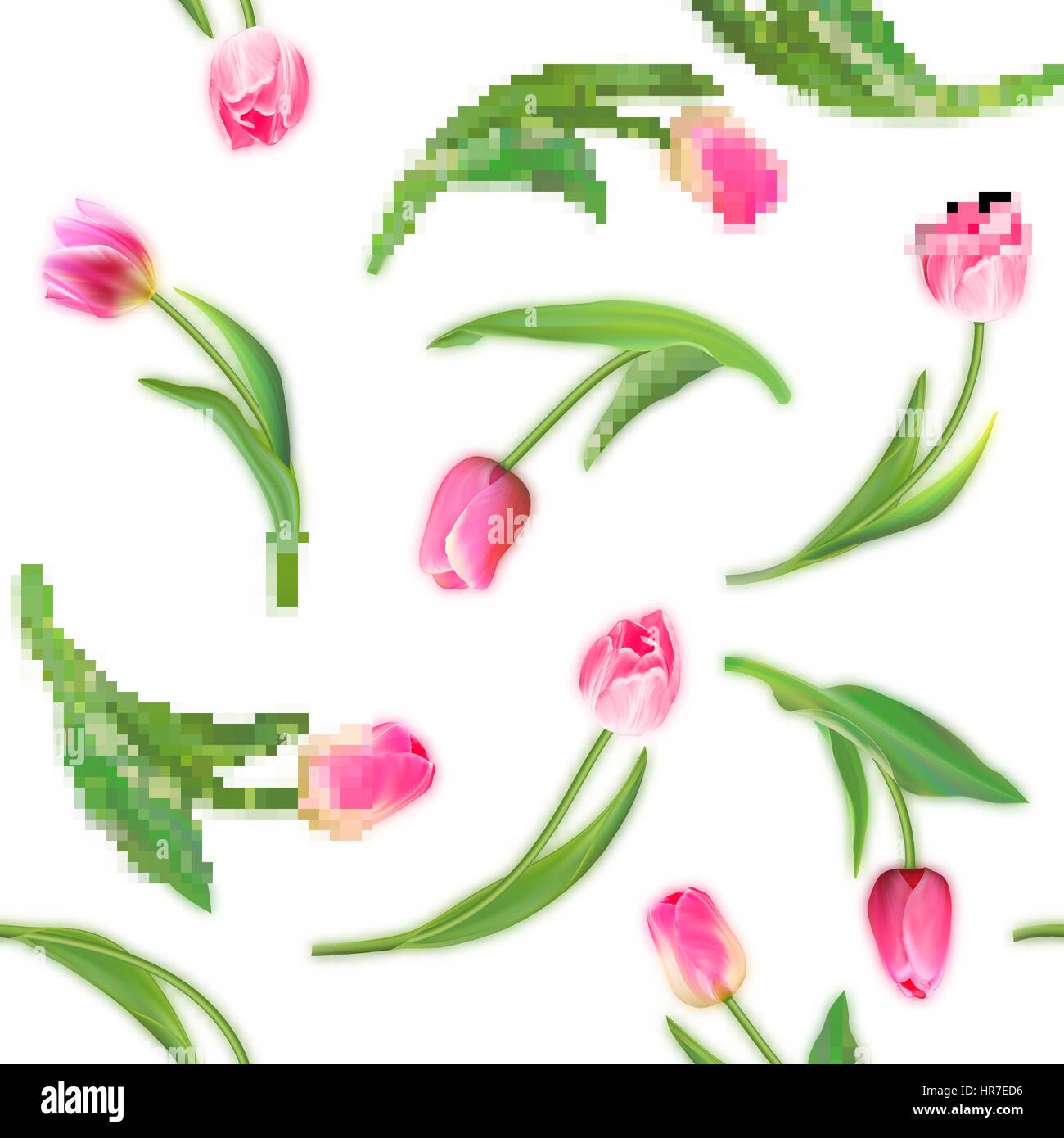 Realistic tulips vector seamless pattern, Repeating surface pattern ...