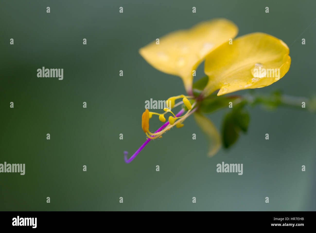 Non living things hi-res stock photography and images - Alamy