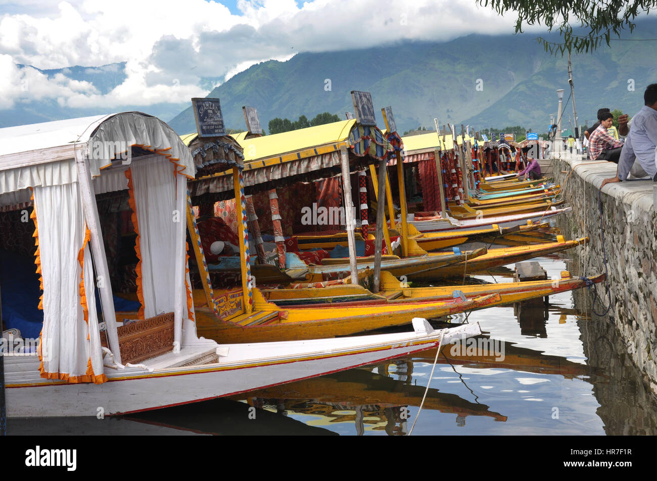 Many Shikkara Boat, Dal Lake, Kashmir, India, (Photo Copyright © Saji ...