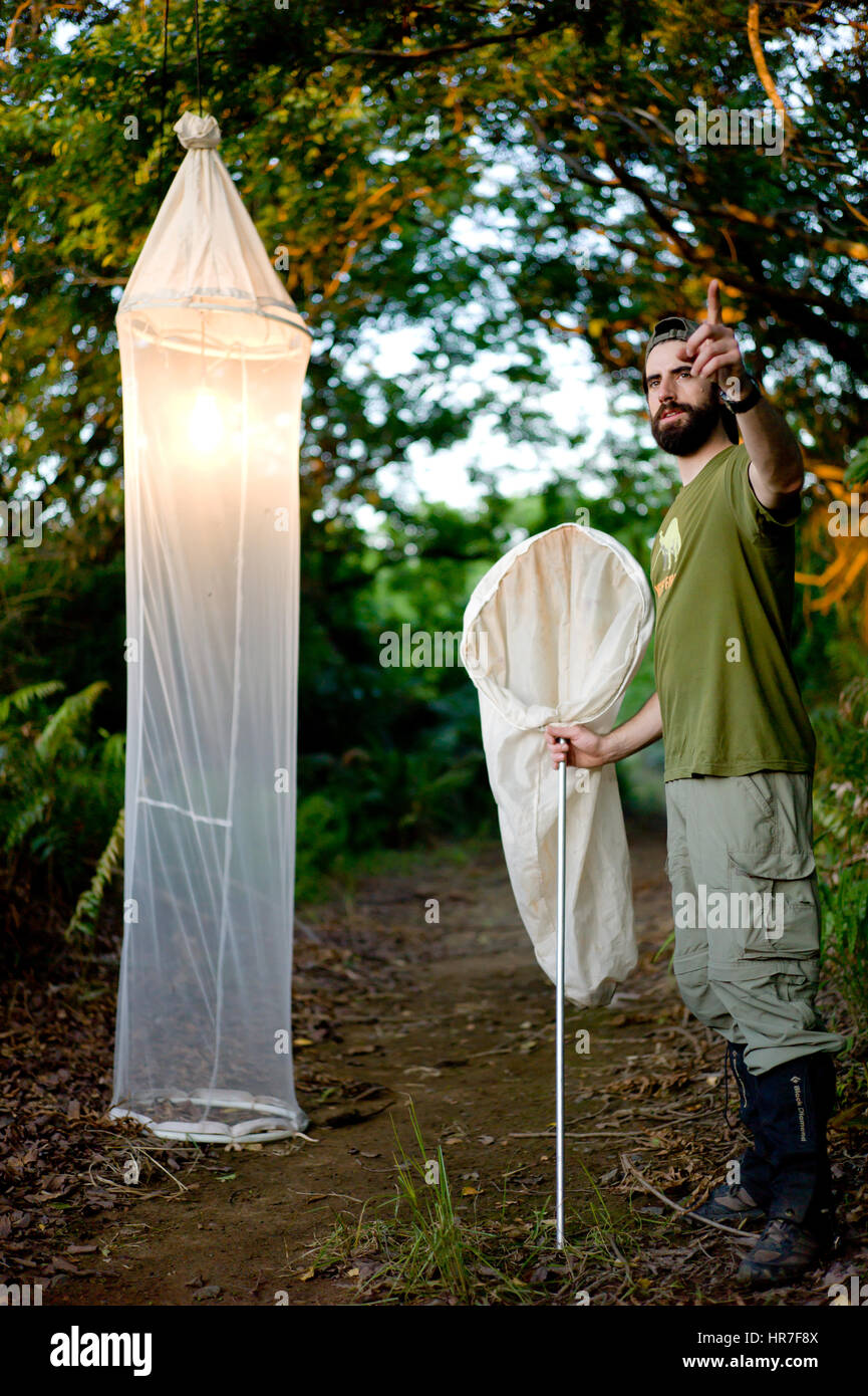 An entomological researcher sets up a light trap to collect insects in ...