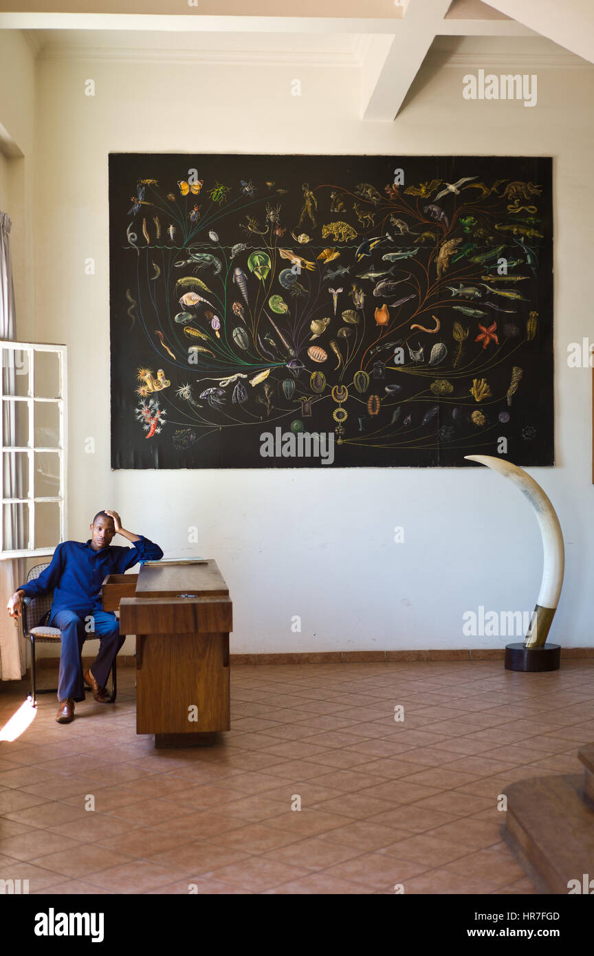 A worker looks bored in the empty natural history museum in Maputo ...