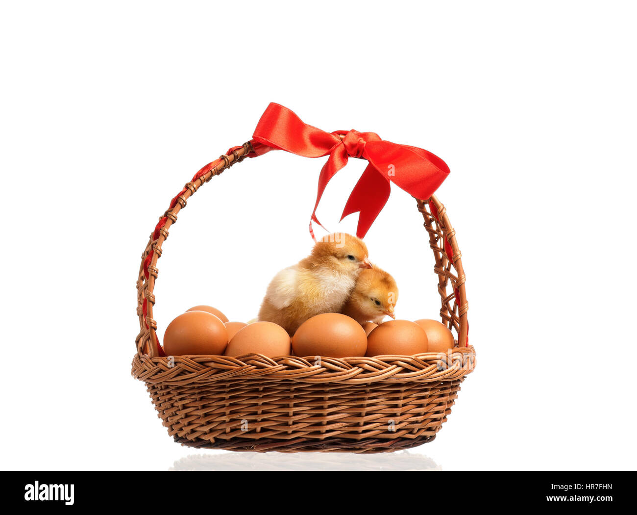 Cute little chickens on eggs inside basket, isolated on white ...