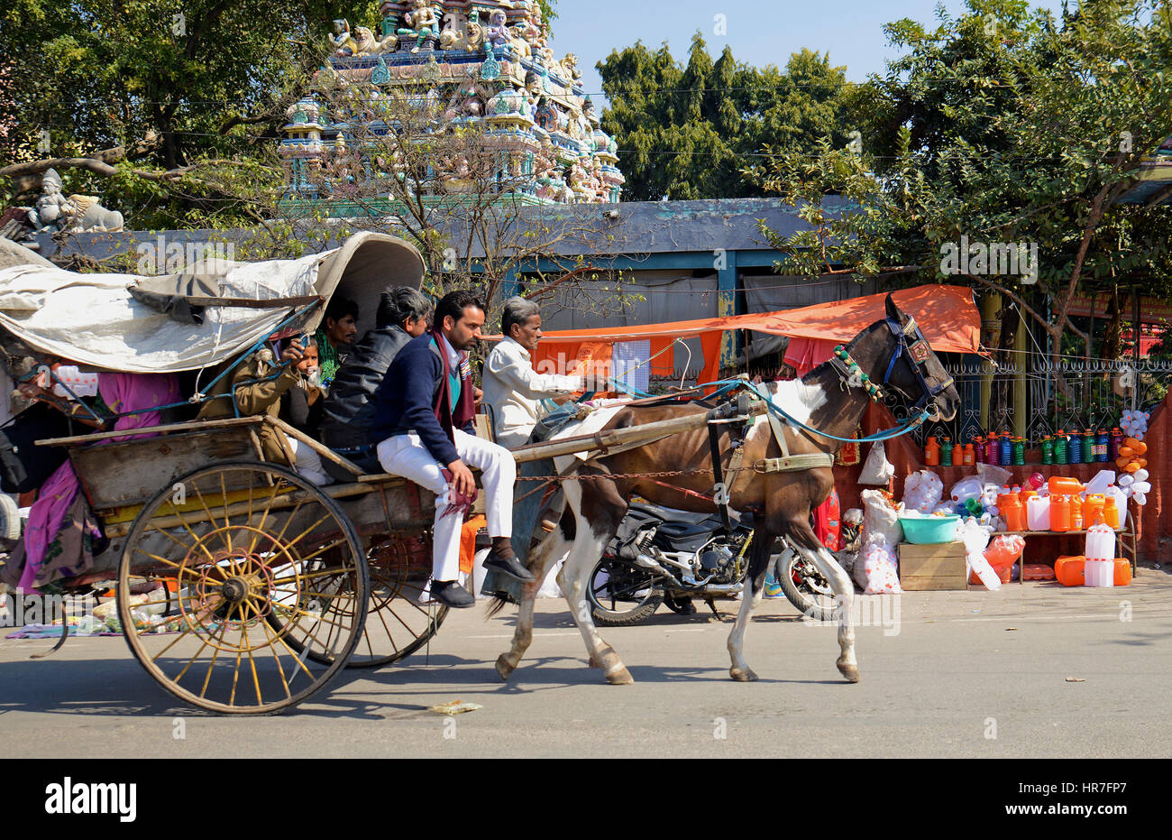 Horse Horse And Cart Indian Horse And Cart Stock Photos & Horse Horse ...