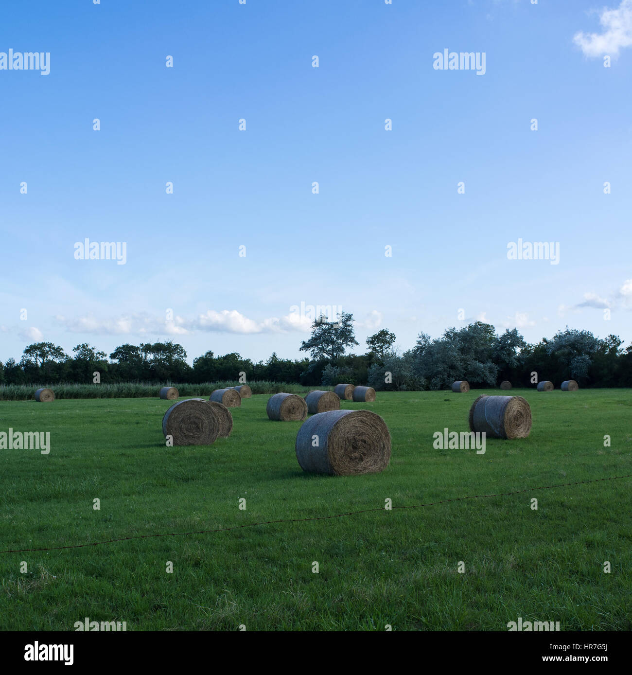 Square hay bales in field hi-res stock photography and images - Alamy