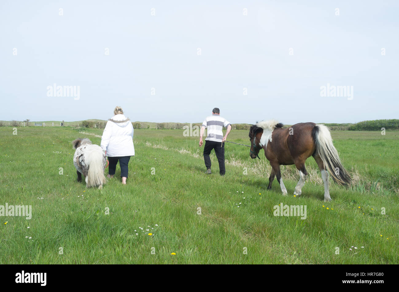 Walking a horse hi-res stock photography and images - Alamy
