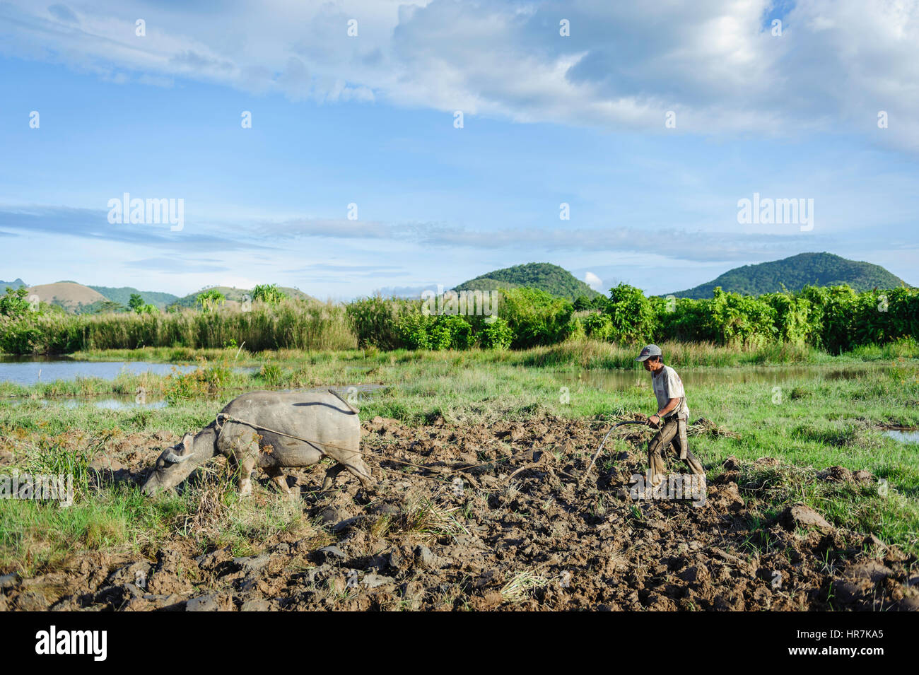 Farming philippines plough plow hi-res stock photography and images - Alamy