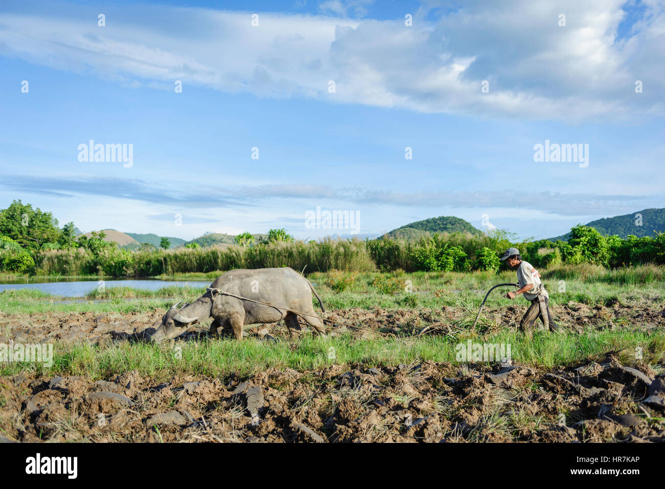 Farming philippines plough plow hi-res stock photography and images - Alamy