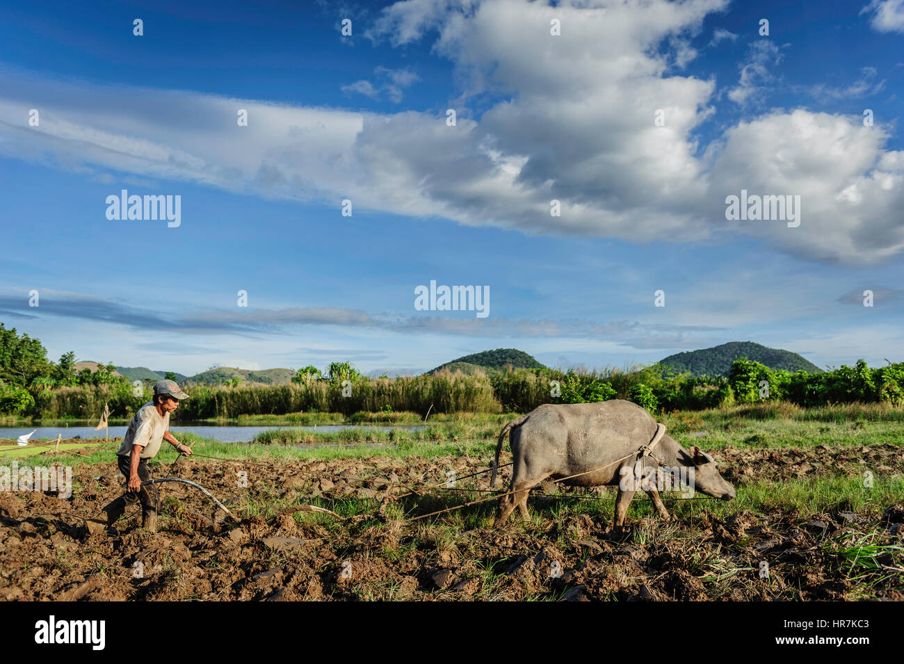 Farming philippines plough plow hi-res stock photography and images - Alamy