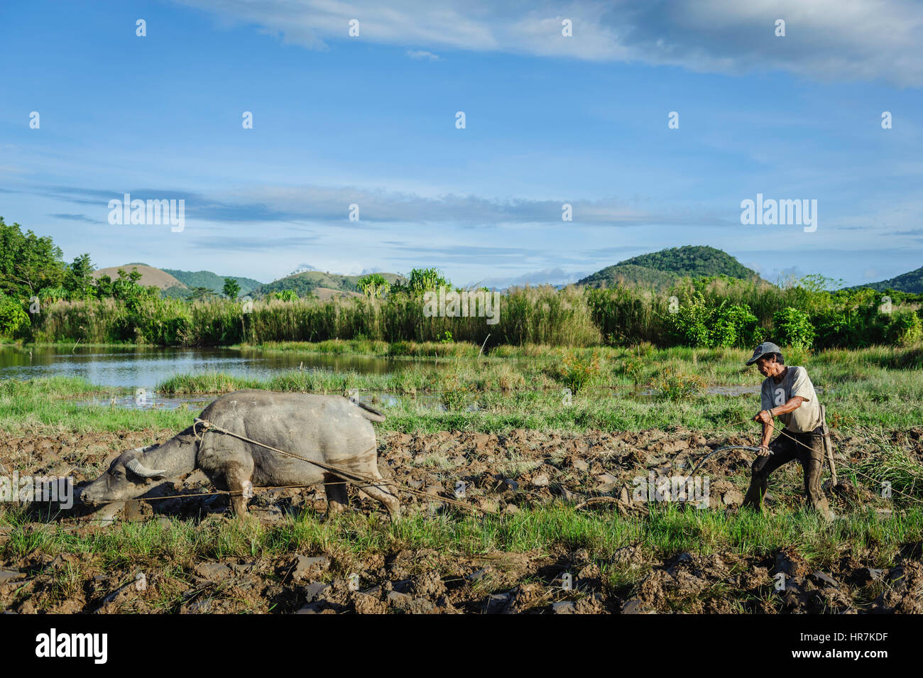 Farming philippines plough plow hi-res stock photography and images - Alamy