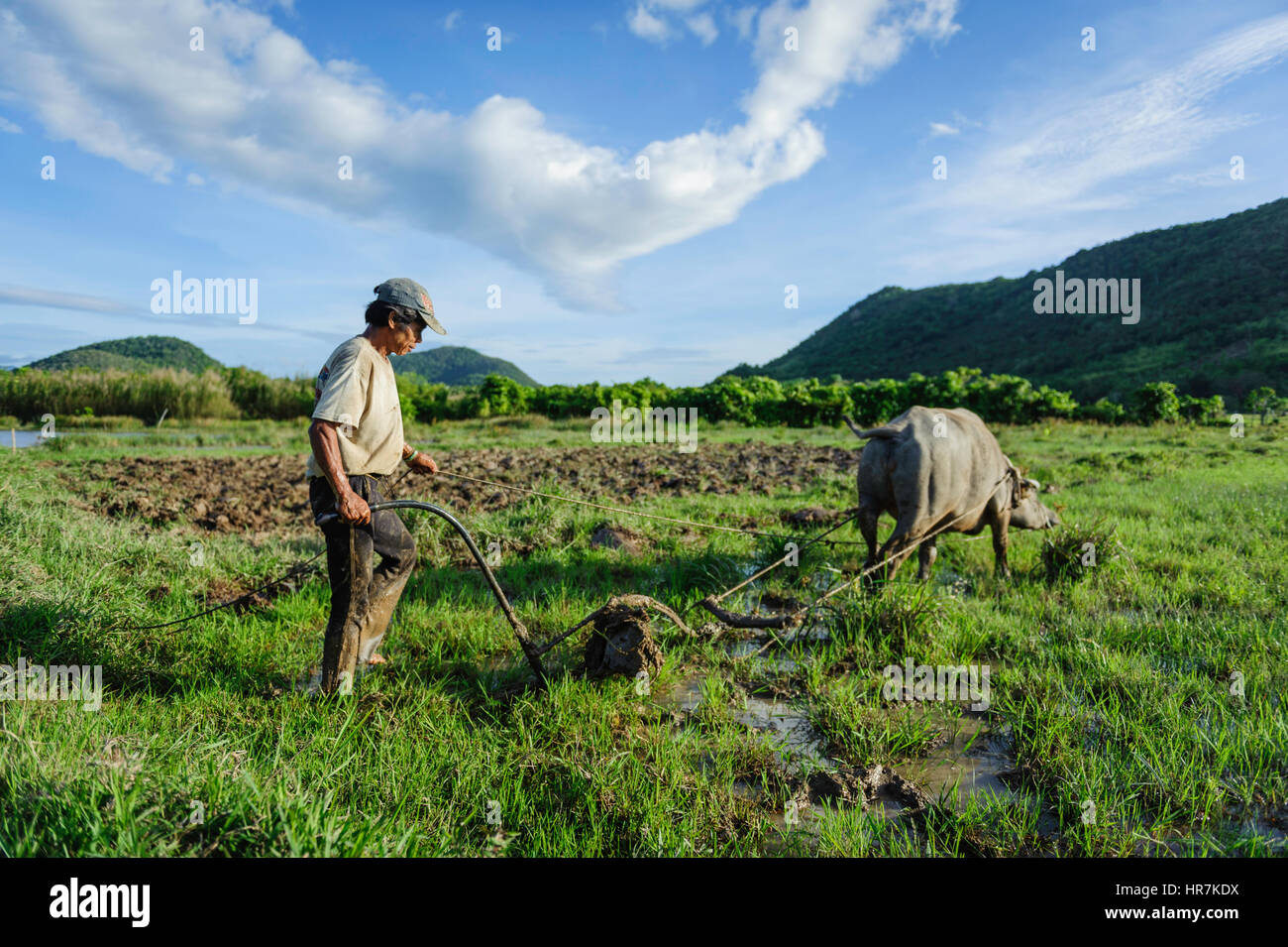 Farming philippines plough plow hi-res stock photography and images - Alamy