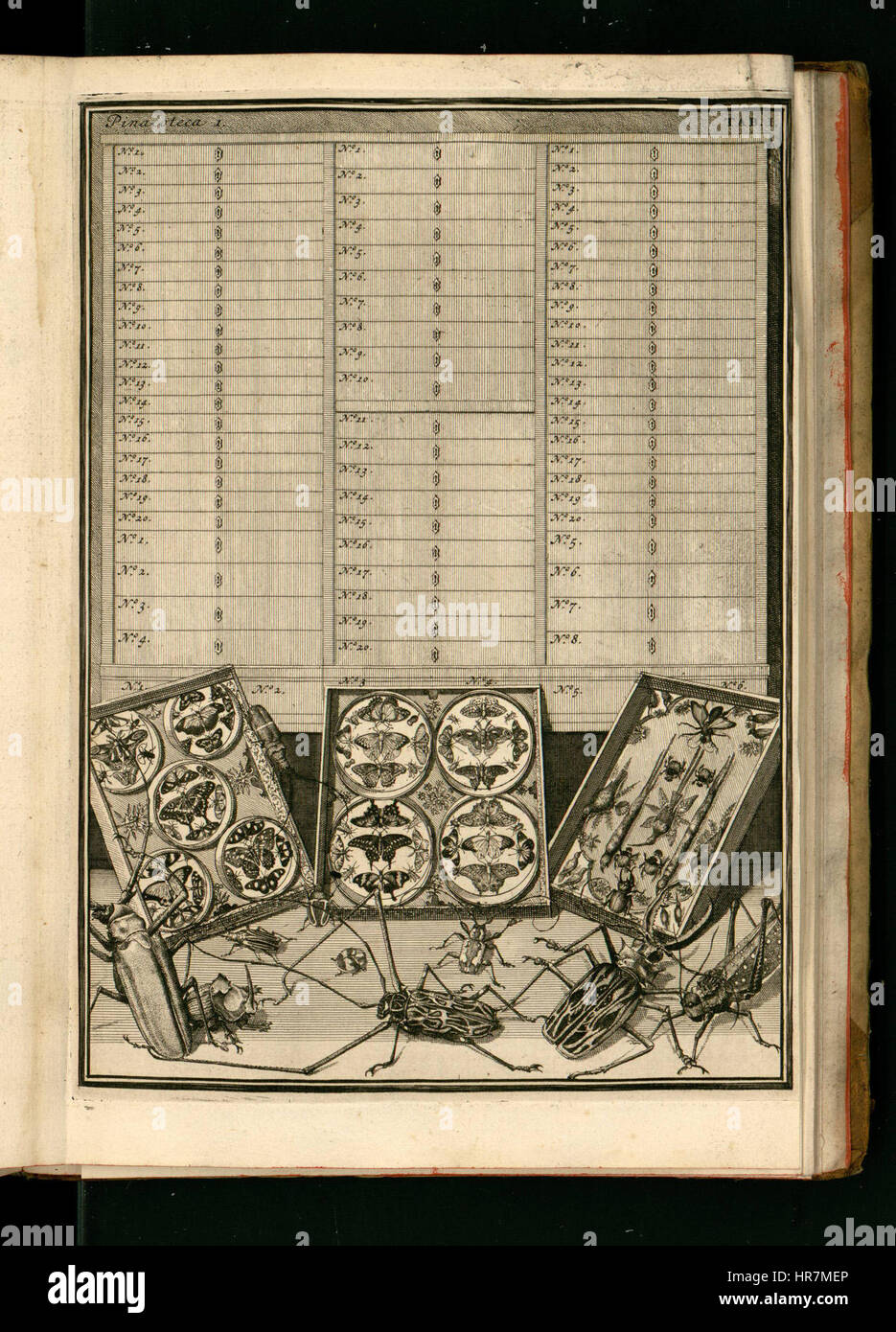 Levinus vincent hi-res stock photography and images - Alamy