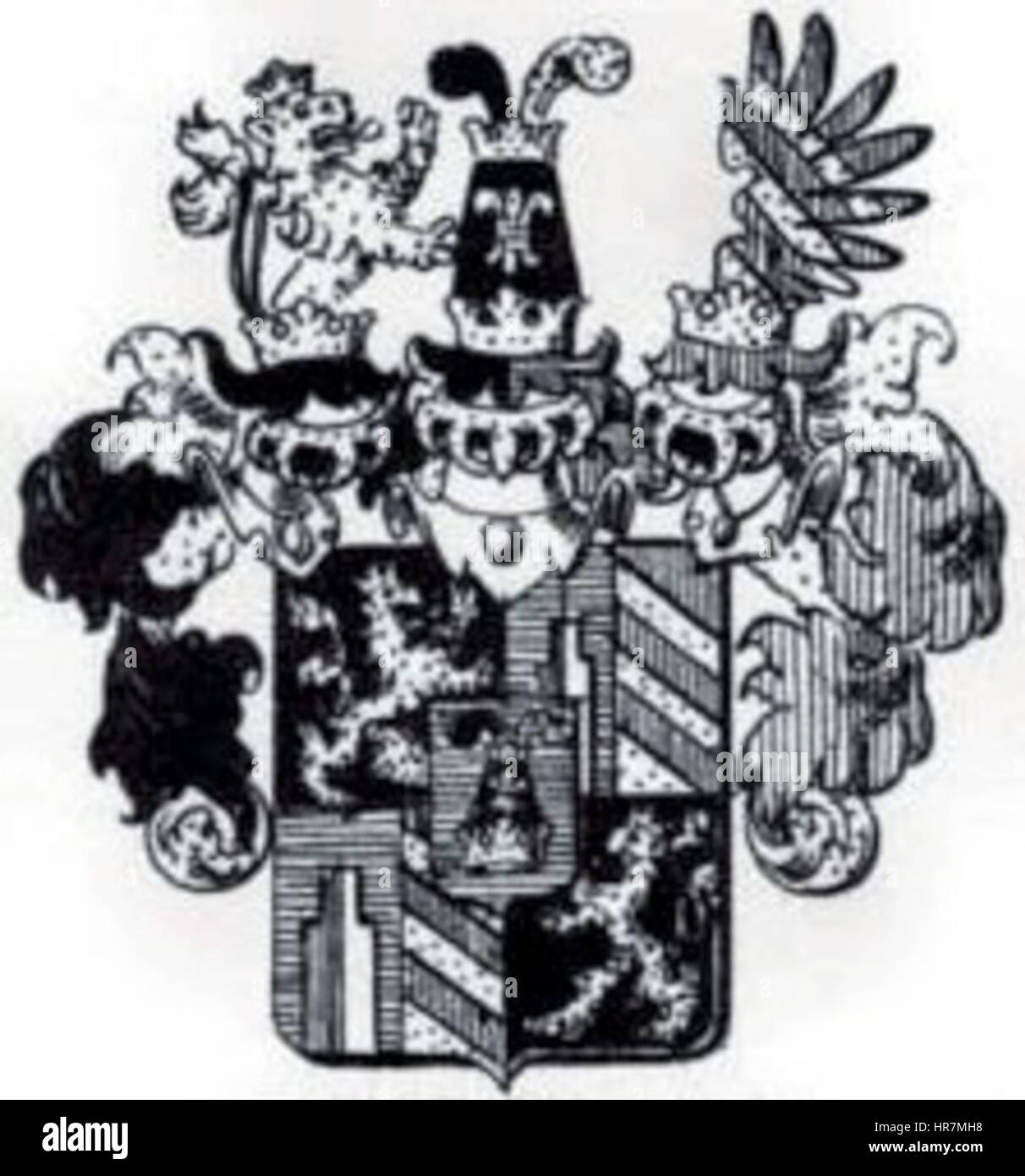 Welser coat of arms hi-res stock photography and images - Alamy