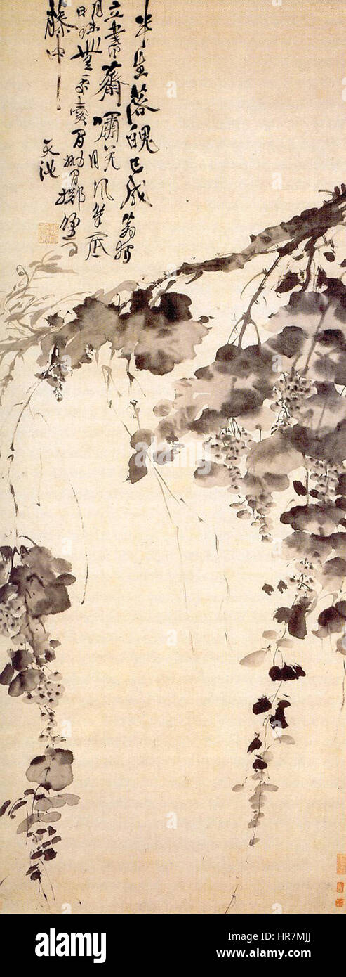 Xu Wei Grapes Stock Photo - Alamy