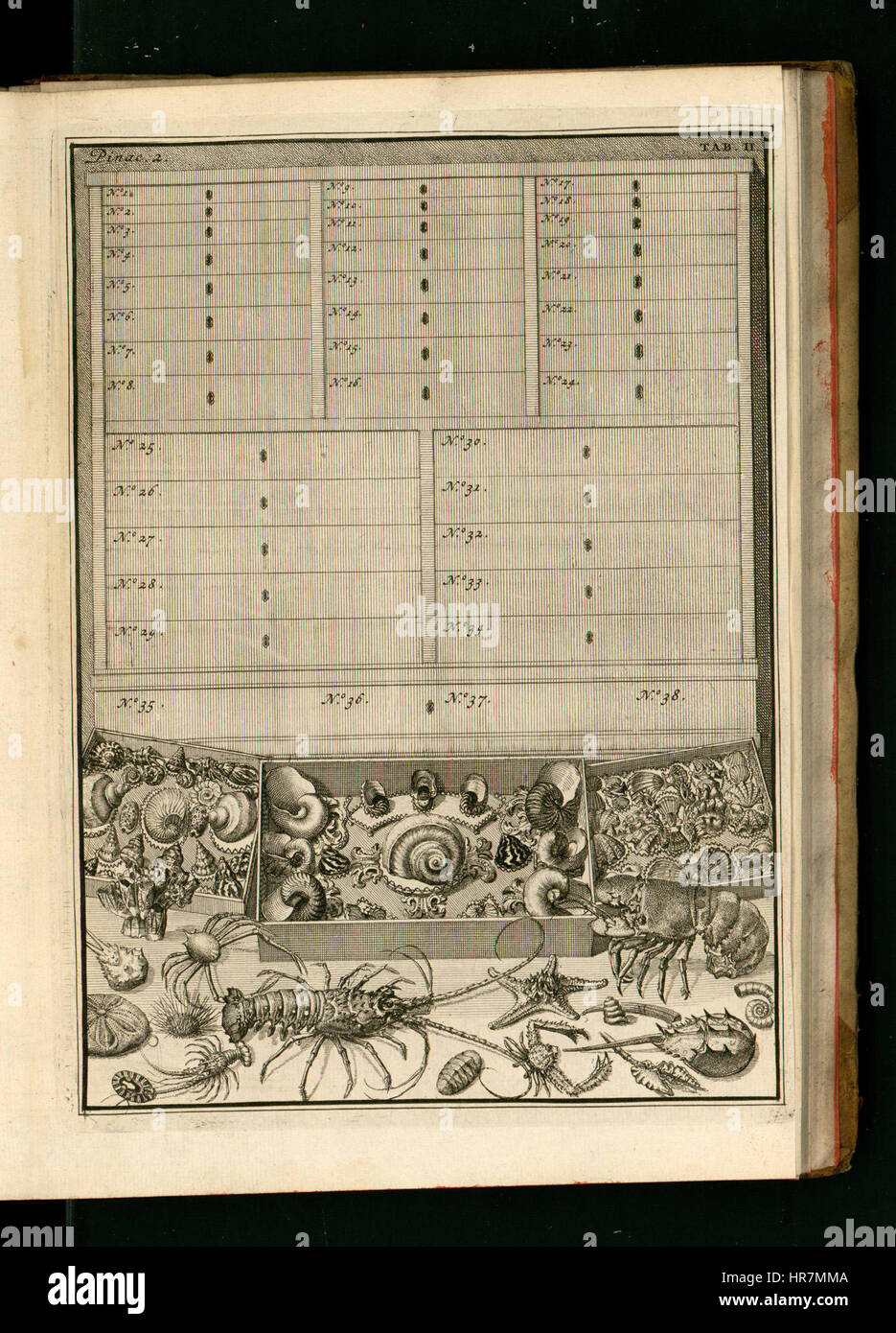 Levinus Vincent High Resolution Stock Photography and Images - Alamy