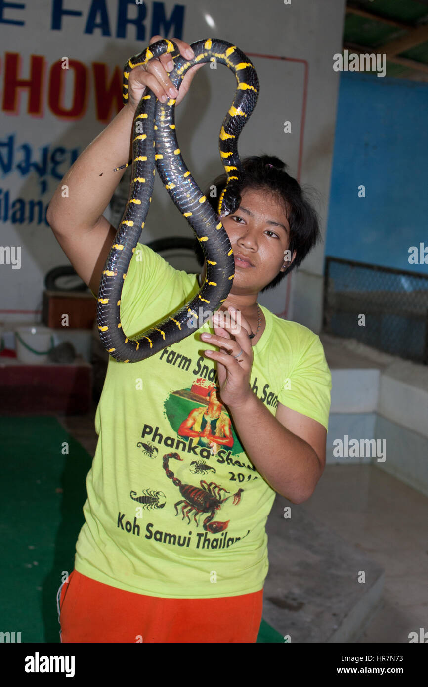 Brave snakes hi-res stock photography and images - Alamy