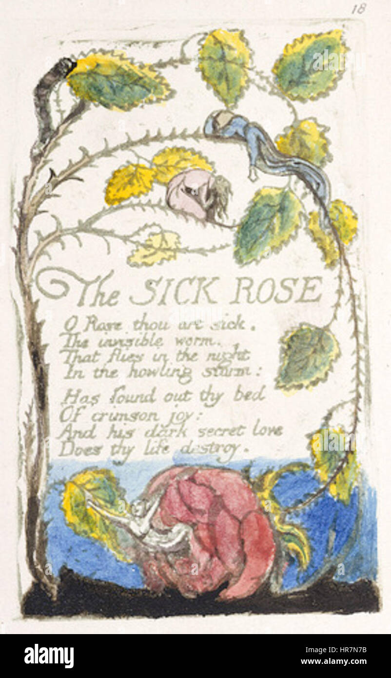The sick rose william blake hi-res stock photography and images - Alamy