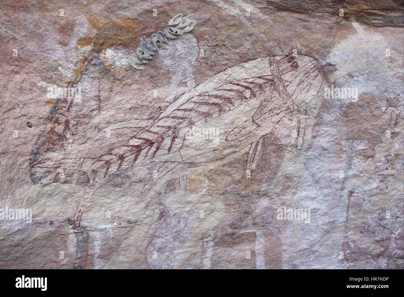 Google fish hi-res stock photography and images - Alamy