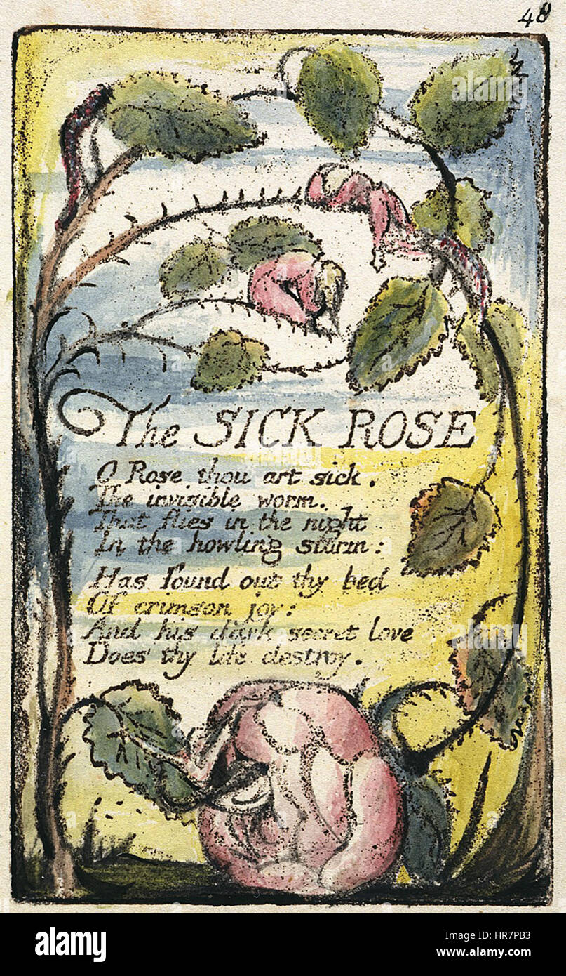'The Sick Rose' from William Blake's 'Songs of Innocence and of ...