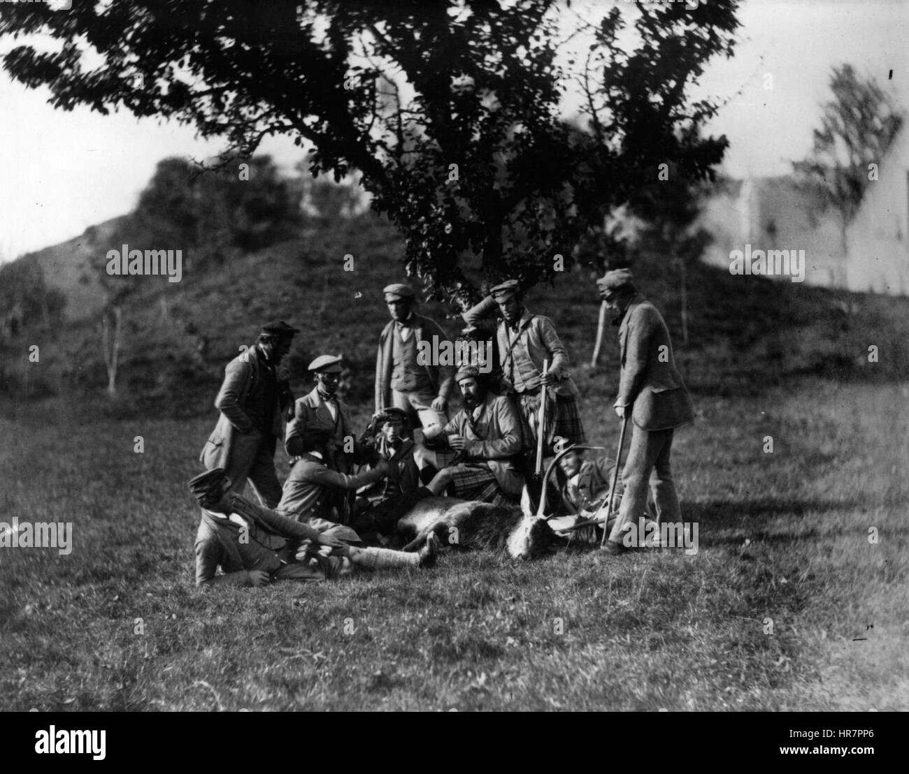 Stag shot by the Prince on Corrie-Buie, October 5th 1854 by George ...