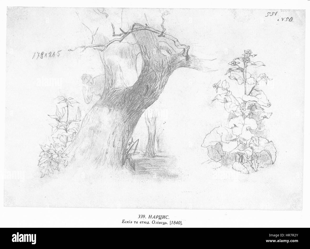 Taras Shevchenko painting 0339 Stock Photo - Alamy