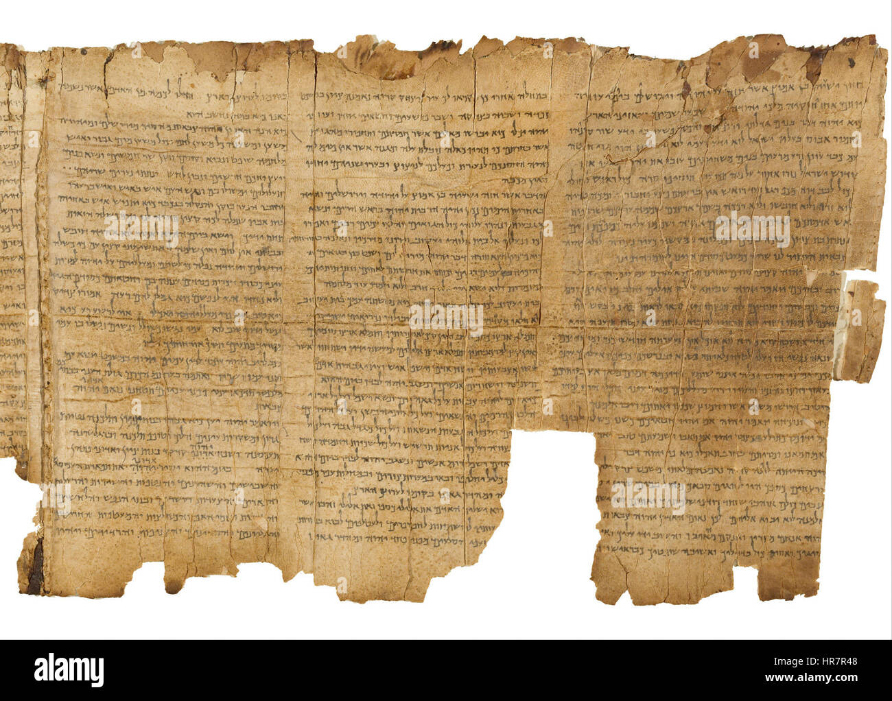 The Temple Scroll (11Q20) is one of the Dead Sea Scrolls, containing ...