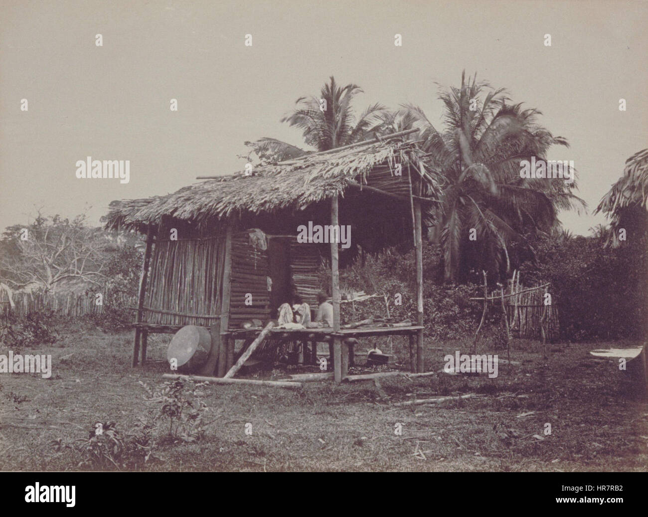 Timothy H. O'Sullivan's photograph *Native Hut, Turbo* captures a rural ...