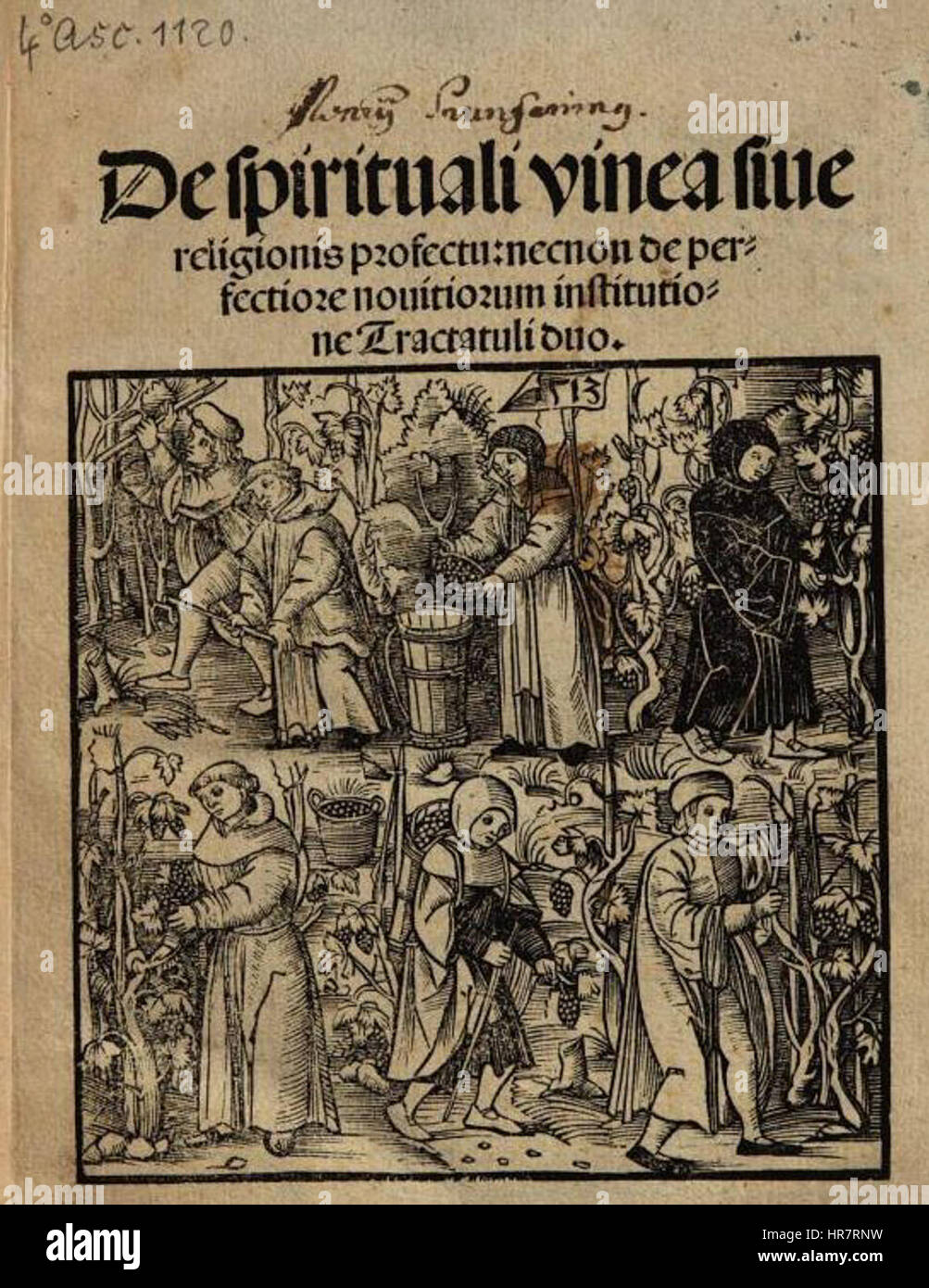 Vinea hi-res stock photography and images - Alamy