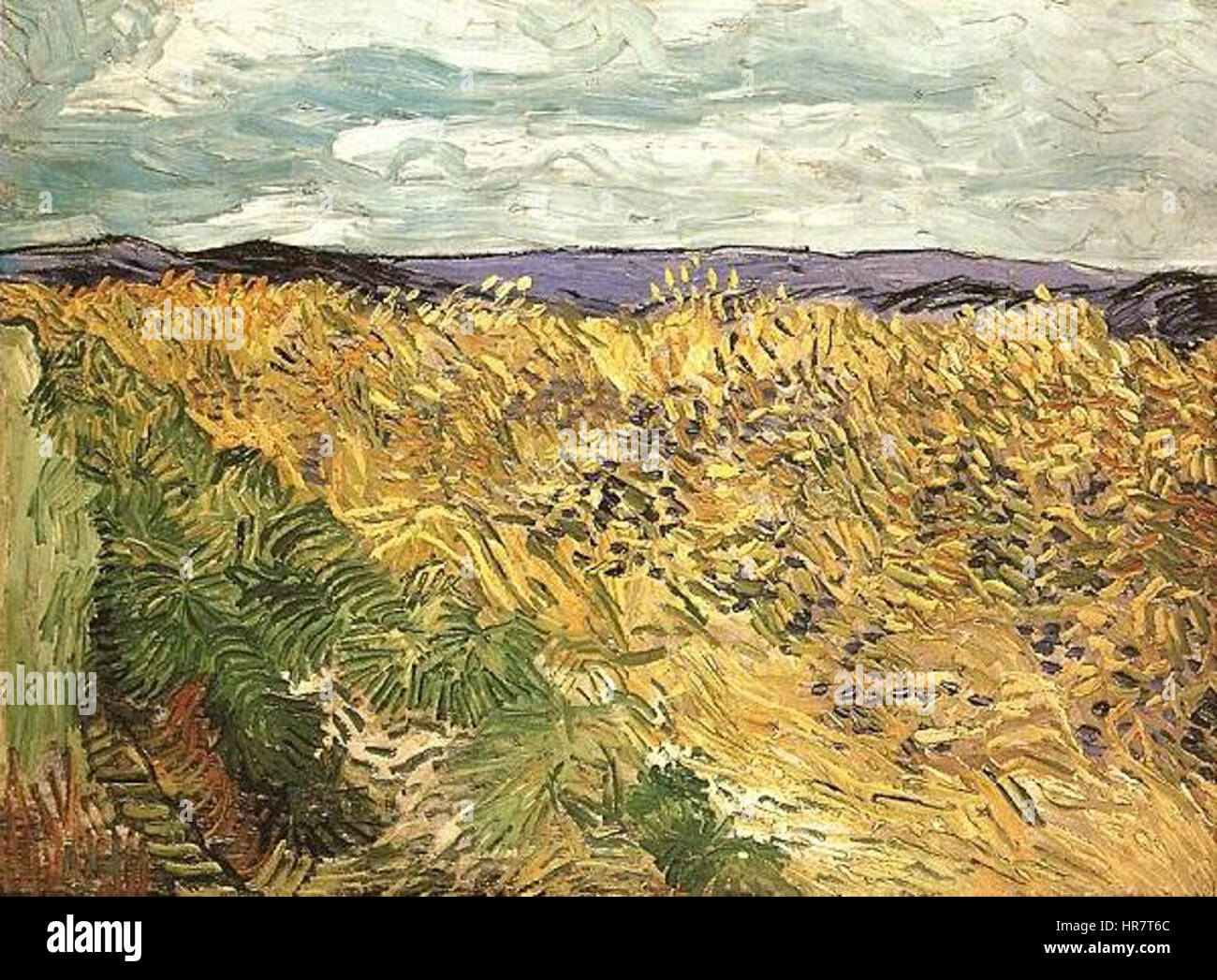 Vincent van gogh wheat field hi-res stock photography and images - Alamy