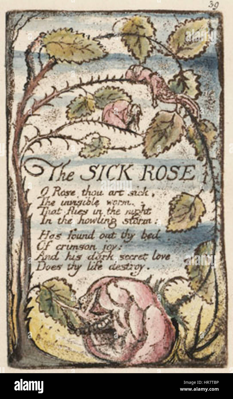 The sick rose william blake hi-res stock photography and images - Alamy