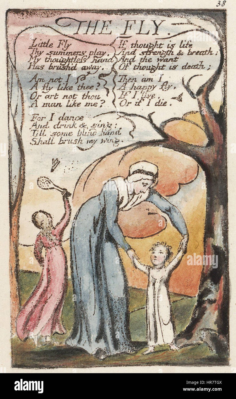 'Songs of Innocence and of Experience' by William Blake, includes the illustration 'The Fly ...