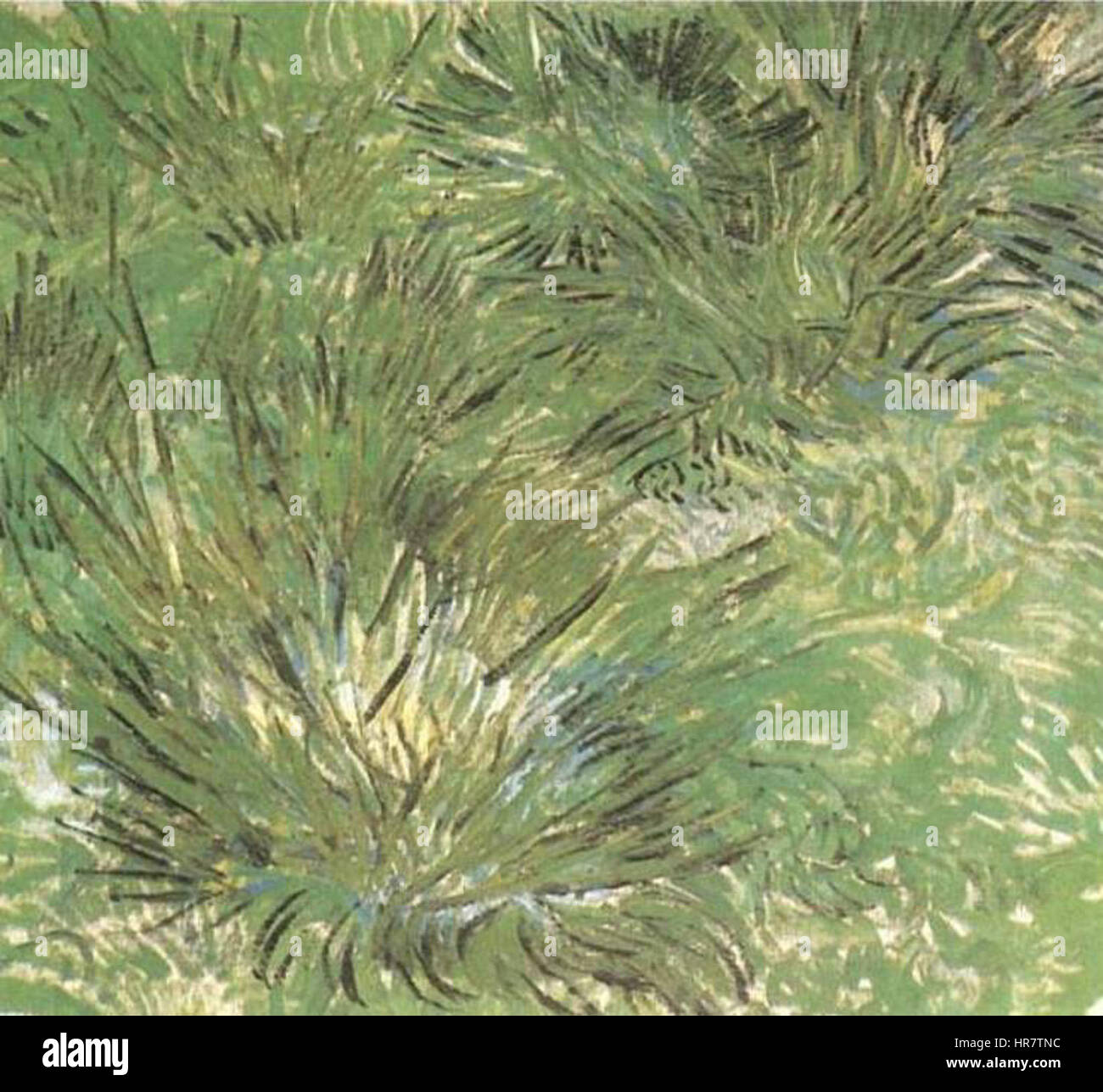 Vincent van Gogh - Clumps of Grass Stock Photo - Alamy