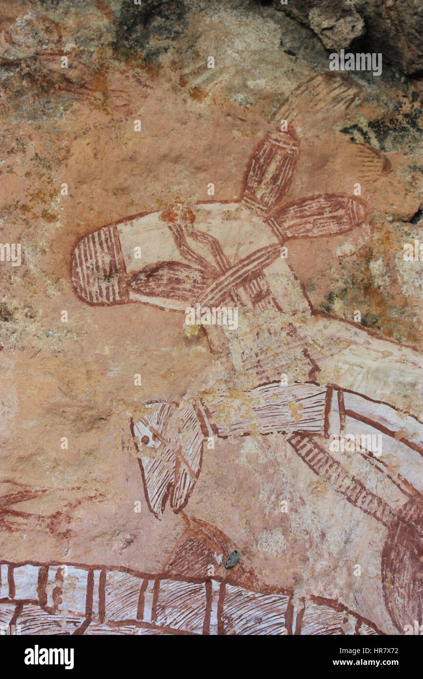 X-ray kangaroo - Google Art Project Stock Photo - Alamy