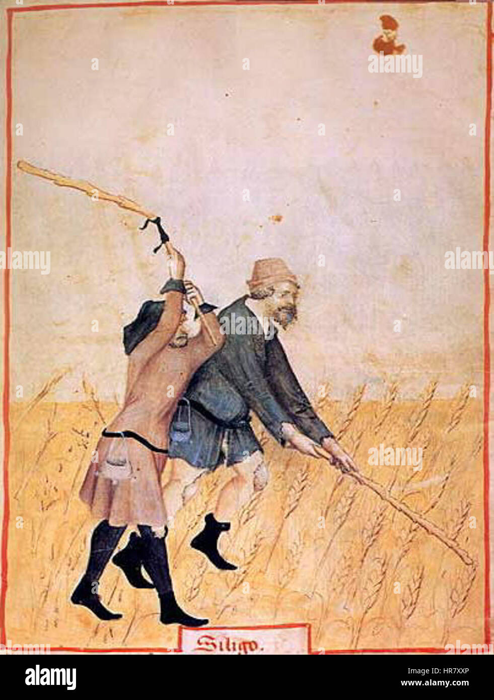 Medieval farming hi-res stock photography and images - Alamy