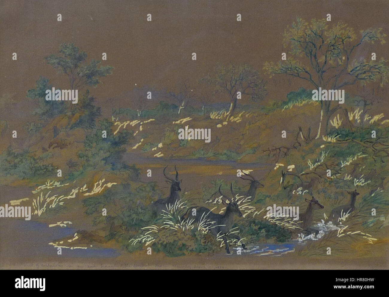 Thomas baines painting hi-res stock photography and images - Alamy