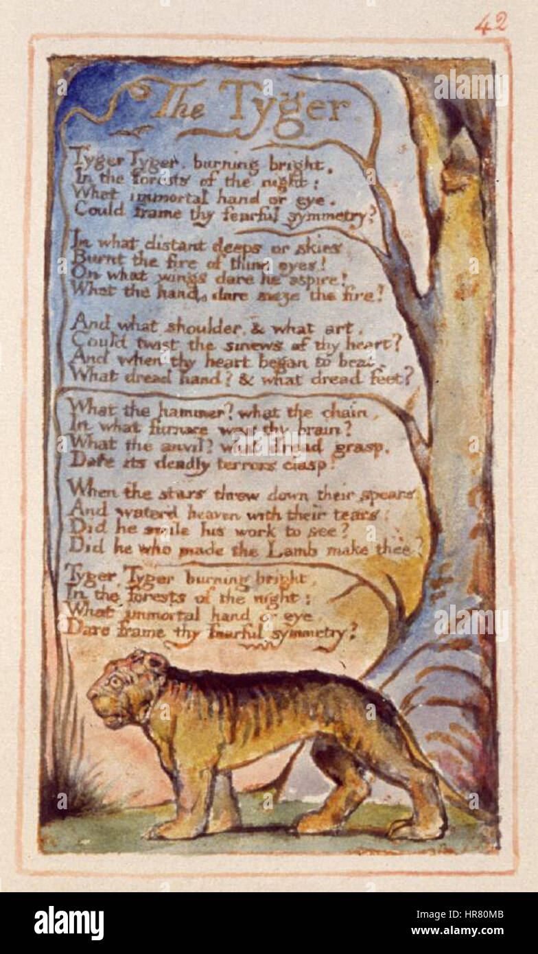 Tyger tyger hi-res stock photography and images - Alamy