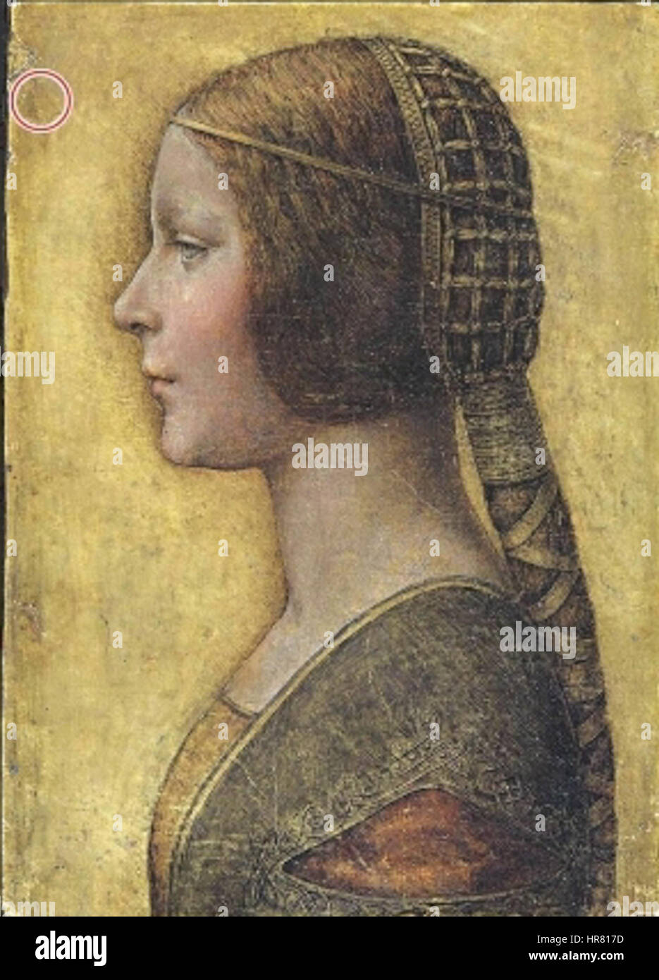 Vinci, Leonardo da (attributed) - La Bella Principessa - 16th c Stock ...