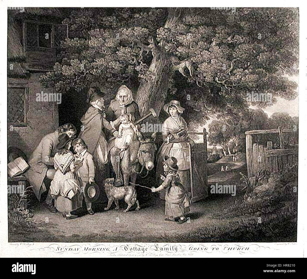 Redmore hi-res stock photography and images - Alamy