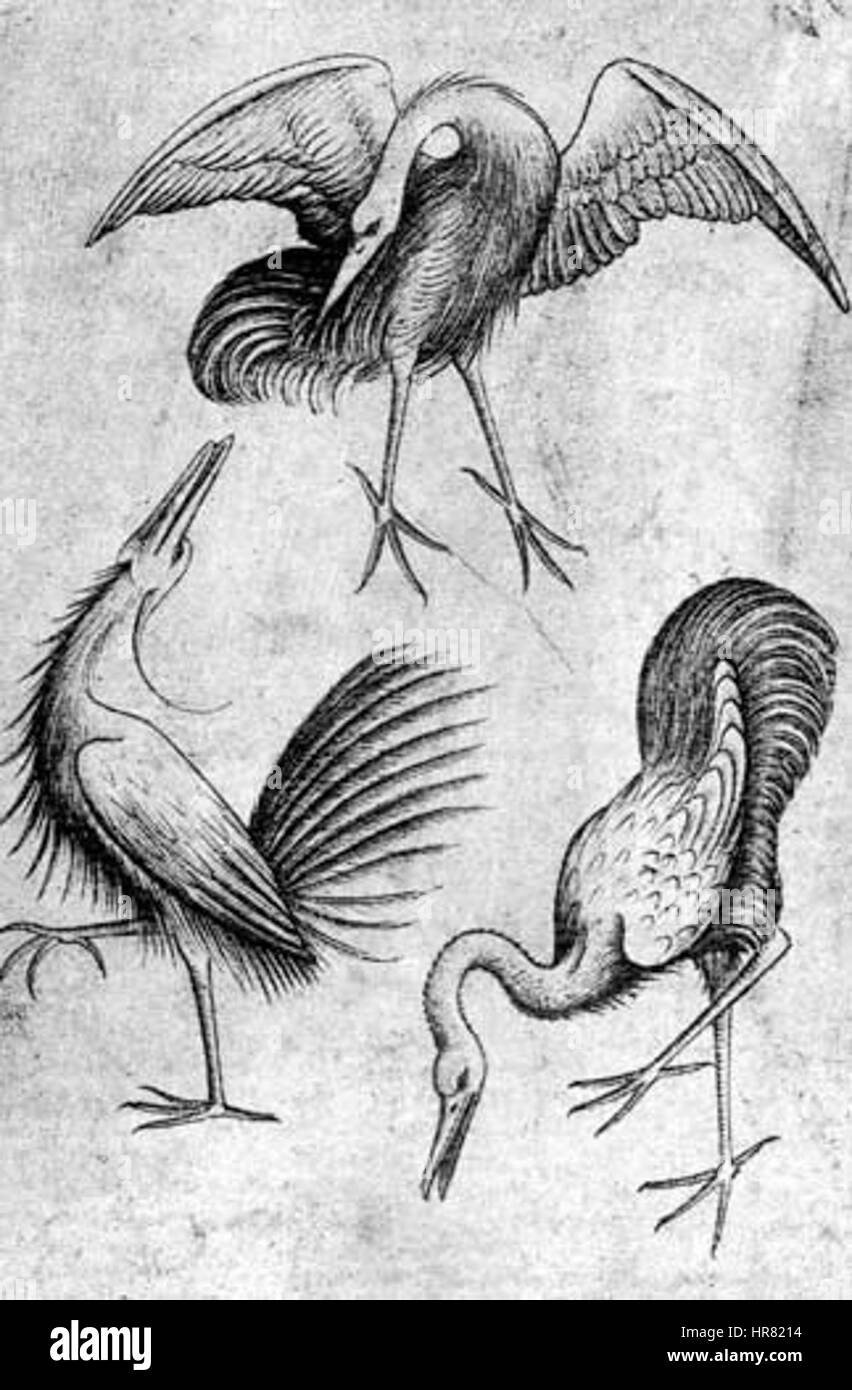 'Vogel Drei' by the Master of the Playing Cards is a detailed woodcut ...