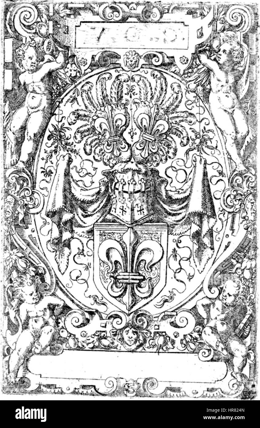 Wappen der Familie Welser Stock Photo - Alamy